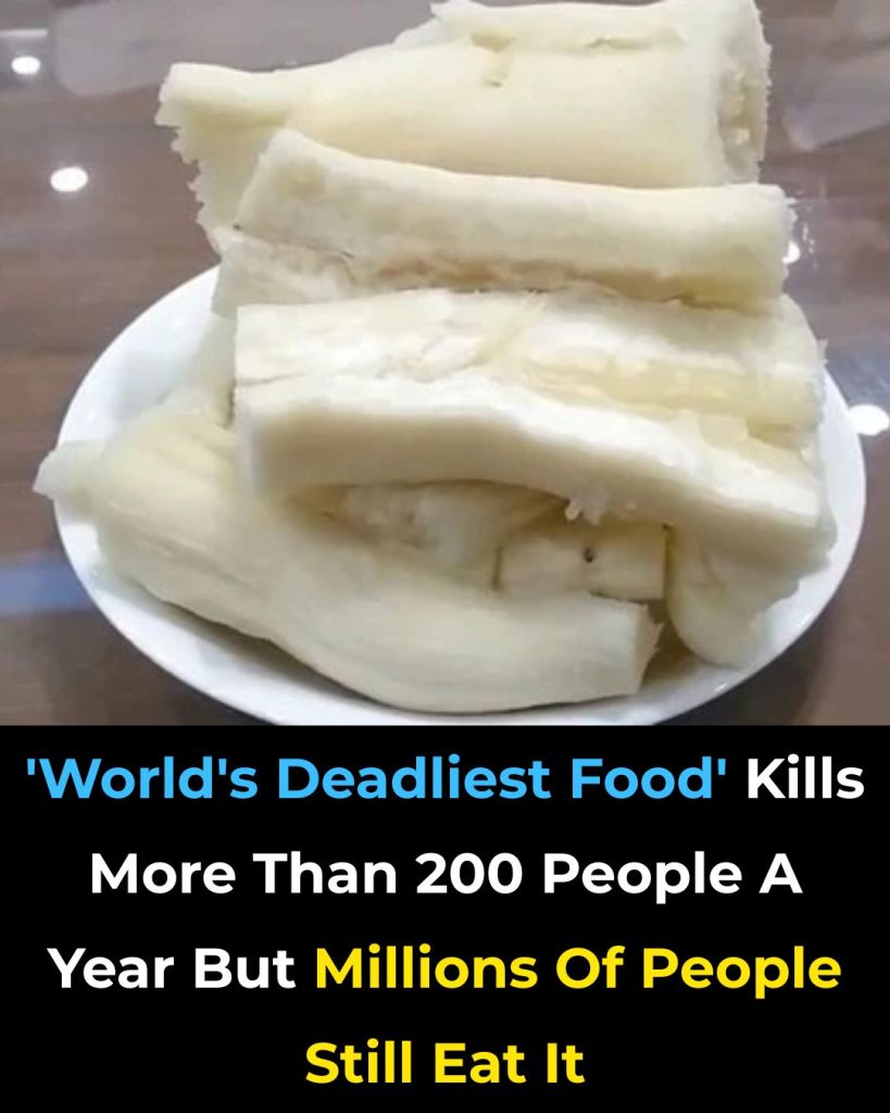 Over 200 People Are Killed By The “World’s Deadliest Food” Every Year ...